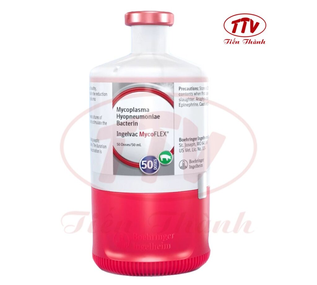 Ingelvac Mycoflex® | TTV HCM
