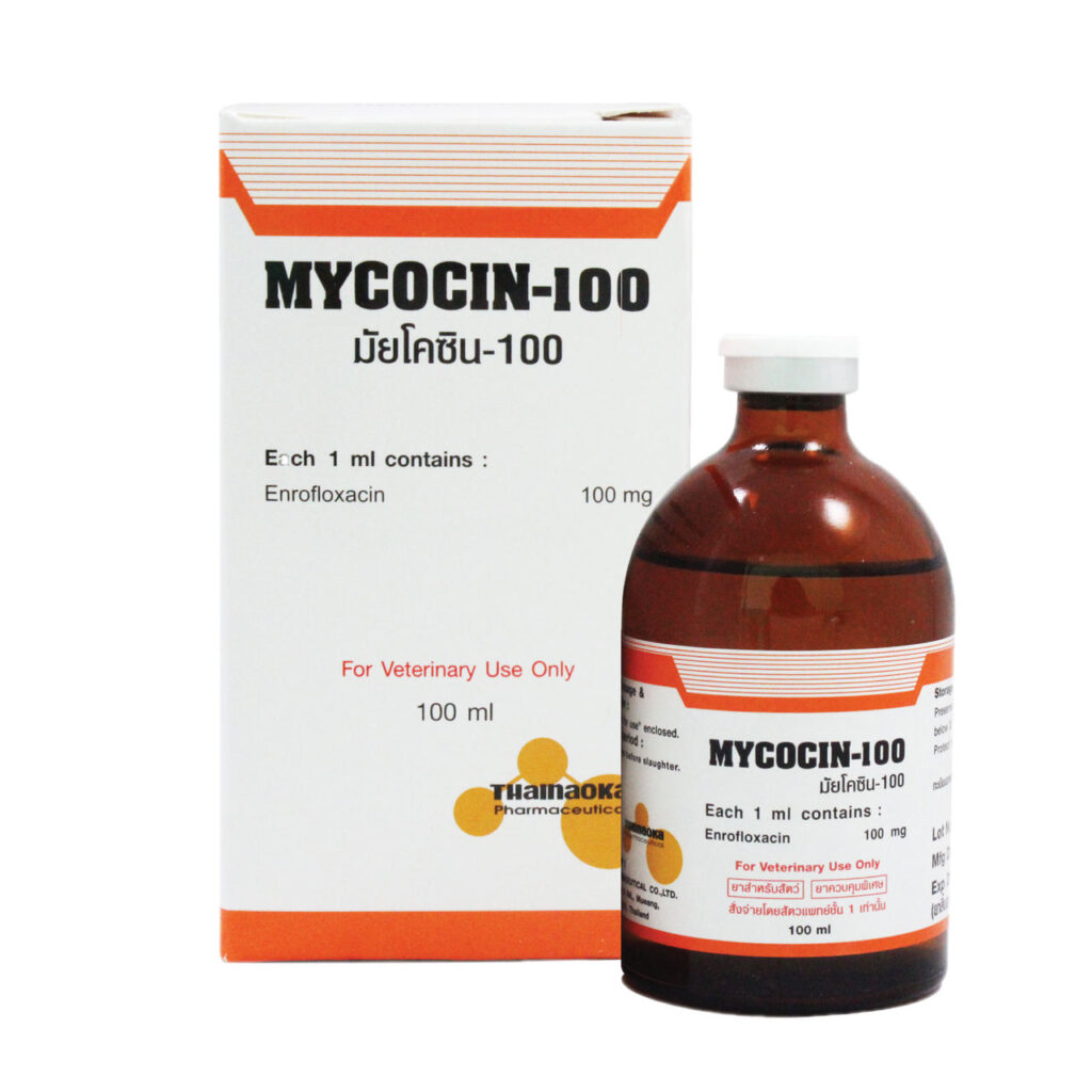 Mycocin-100 | TTV HCM
