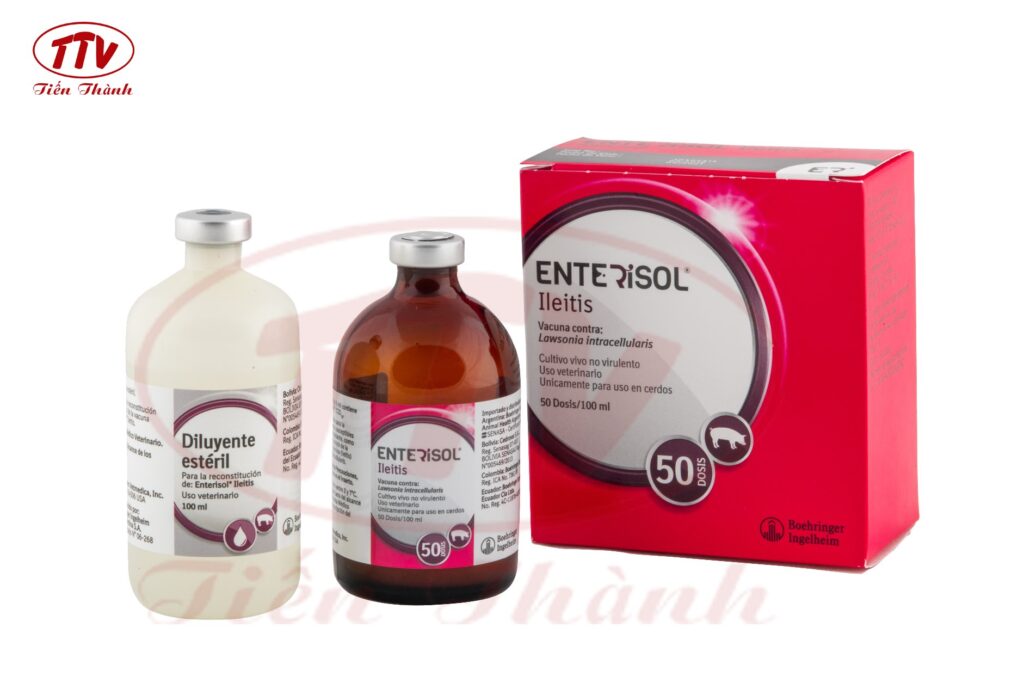 Enterisol Ileitis | TTV HCM